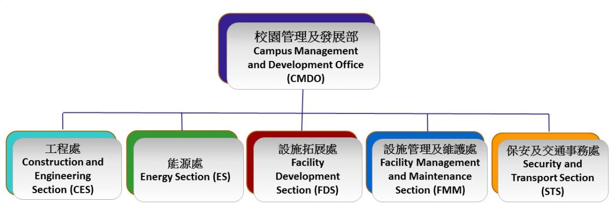 Organization – CMDO
